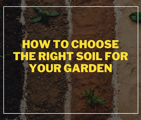Choosing The Perfect Soil For Your Garden Gardening Tips