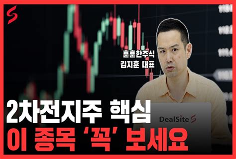 에딧머니 전문가를 만나다 2차전지株 지금 담아도 될까 딜사이트