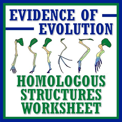 Evidence Of Evolution Homologous Structures Worksheet Flying Colors