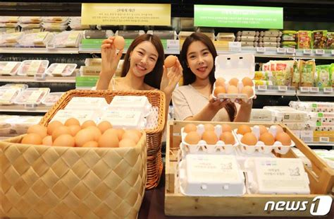 자연방사 유정란 맛보세요 네이트 뉴스