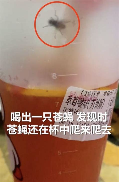 蜜雪冰城又出事？喝出多条虫子和虫卵！相似案例赔200张1元优惠券 知乎