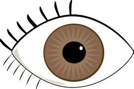 Brown Eye Clip Art Image Clipart Panda Free Clipart Images