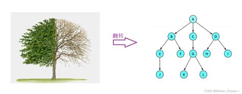 【数据结构与算法】树、二叉树的概念及结构详解判断一棵树是什么类型的二叉树的算法数据结构 Csdn博客