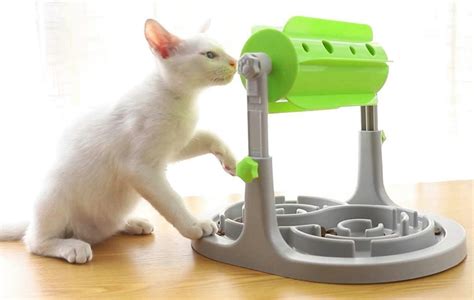 The 10 Best Cat Puzzle Feeders