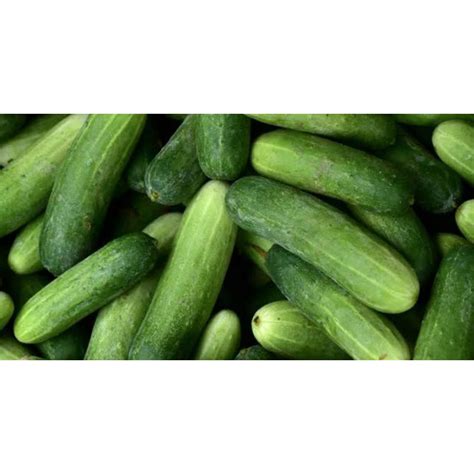 Jual Timun 250 Gr Shopee Indonesia