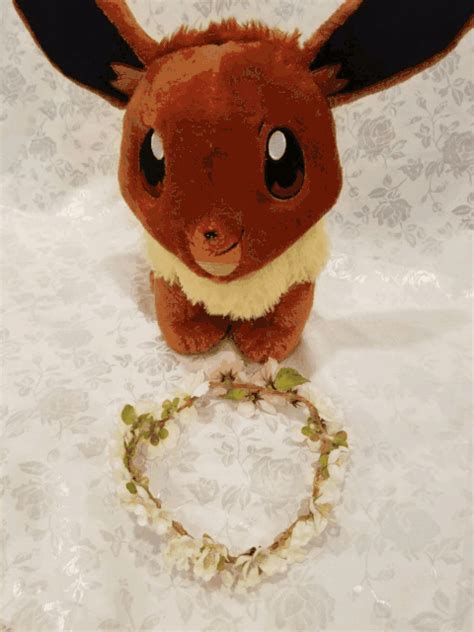 Serenas Eevee Cosplay Cosplay Amino