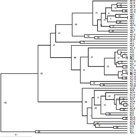 Similarity Dendrogram By The Jaccard Coefficient Upgma Unweighted