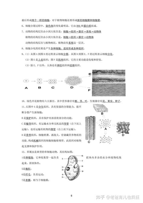 初中生物知识点全攻略，所有知识点都归纳好了并配有思维导图，速收藏！ 知乎