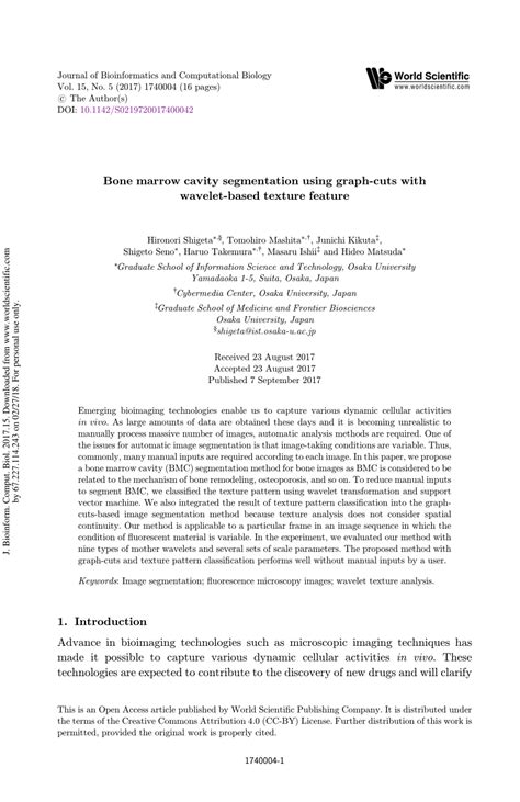 Pdf Bone Marrow Cavity Segmentation Using Graph Cuts With Wavelet