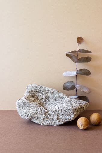 베이지 색 배경에 돌 연단 화장품의 프리젠 테이션 모형 공간을 복사합니다 0명에 대한 스톡 사진 및 기타 이미지 0명 갈색 강단 Istock