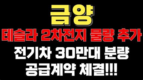 금양 주가전망 테슬라 2차전지 물량 추가 전기차 30만대 분량 공급계약 체결 금양 Youtube