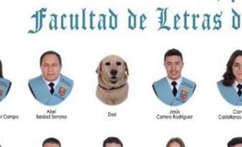 Desi La Perra Guía Que Ayudó A Su Dueño Invidente A Terminar La