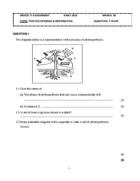 Grade 11 Assignment 2024 1 Grade 1 1 Assignment 9 May 202 4 Marks 50