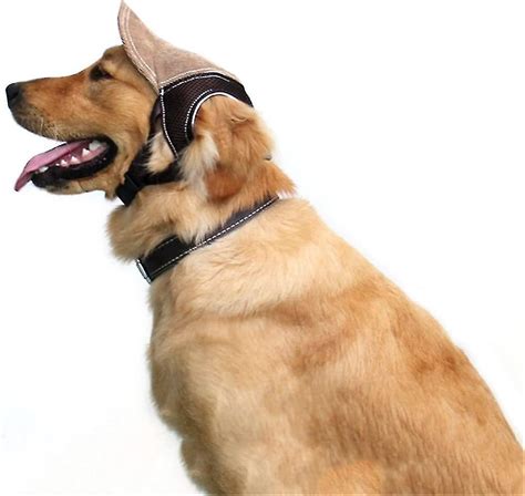 Chapeau De Chien Chapeau De Chien Chapeau De Chien Casquette De