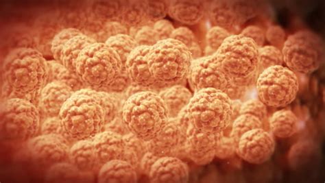 Inside Human Body Fat Cells Highly Detailed Texture Stock Footage Video Shutterstock