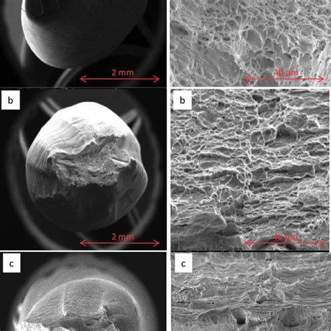 Room Temperature Tensile Properties Download Scientific Diagram