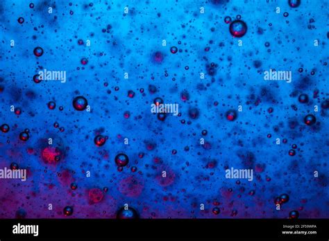 Large Beautiful Oxygen Bubbles Underwater On A Blue Background Macro Movement Oxygen Bubbles In