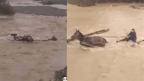 ფაქტები “საშინელება ცხენი მდინარემ წაიღო” მოქალაქე ბოლნისიდან ვიდეოს აქვეყნებს 😖 ღმერთო რა