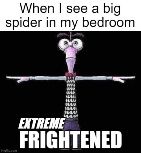 Meanwhile In Australia Imgflip