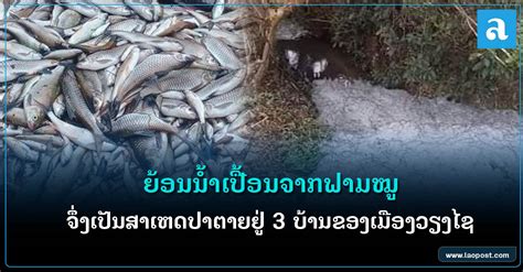 ສາເຫດປາຕາຍຈໍານວນຫຼາຍ ຢູ່ວັງສະຫງວນໃນຂອບເຂດ 3 ບ້ານ ໃນເມືອງວຽງໄຊ ລາວໂພສຕ໌ Laopost