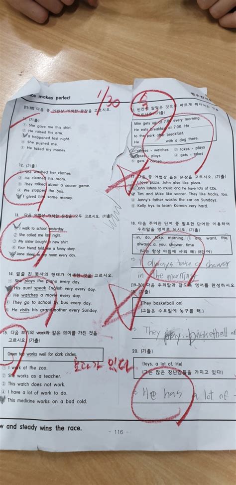 초등5학년의 문제이해력초등영어서술형지문이해력국어사랑 나라사랑우리말 이해력답안작성 깨끗이영어주관식객관식분석력정수