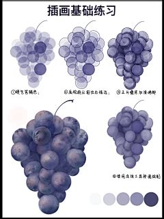 原画练习 花瓣网 陪你做生活的设计师 te