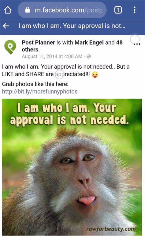 M Facebook See Bug Description Issue Webcompat Web Bugs GitHub