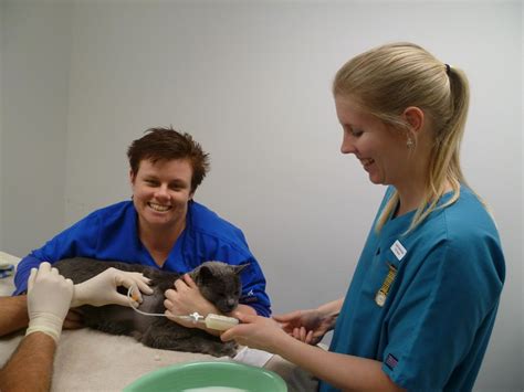 Thoracocentesis Quick Effective Treatment