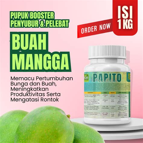 Jual Pupuk Mangga Agar Berbuah Lebat Dan Tidak Rontok Booster Pelebat