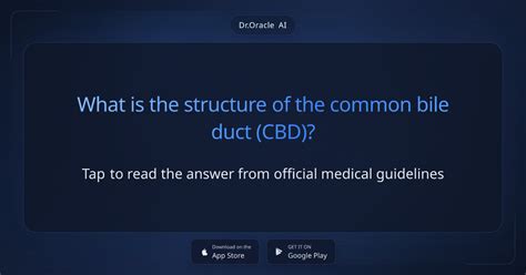 What Is The Structure Of The Common Bile Duct Cbd