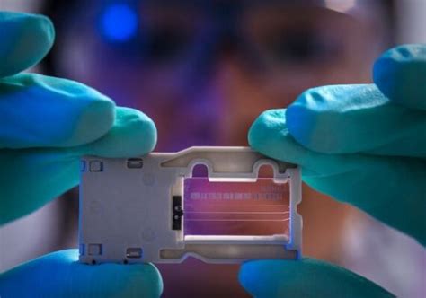 Fortran The Language For Scientific Computing Development Skills