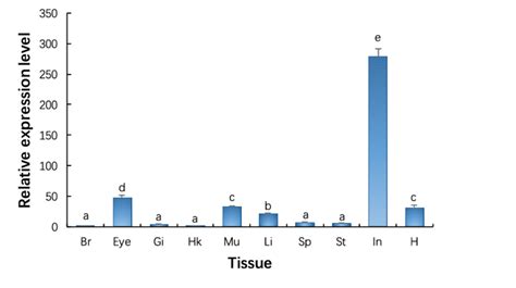 Tissue Expression Of I FABP Gene In Golden Pompano Larvae Data With