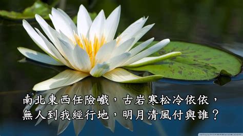親身體驗禪 不經一番寒徹骨 怎得梅花撲鼻香 觀成法師之廣結善緣0111 YouTube