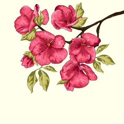 樱花 佐仓花 背景细部图花卉向量 分支与花 向量例证 插画 包括有 母亲 庭院 精美 华丽 开花 46104042