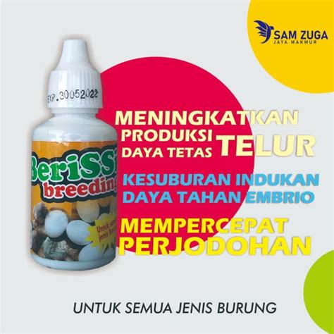 Vitamin Burung Agar Cepat Bertelur Obat Perangsang Betina Birahi Untuk