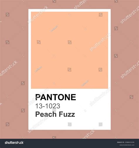 팬톤 13 1023 복숭아 퍼즈 2024년도의 추세 스톡 벡터로열티 프리 2398415195 Shutterstock