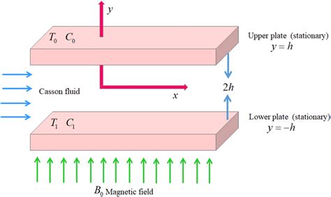Schematic Diagram Of The Problem Color Figure Can Be Viewed At Download Scientific Diagram