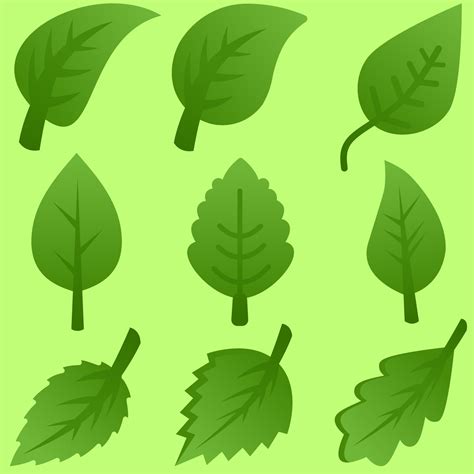 Leaf Vector Illustration Green Leaf Icon For Design Element Set Of Leaves For Plant Tree