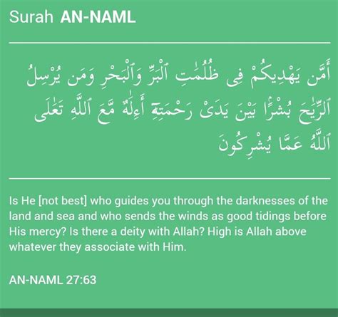 Surah An Naml The Ant سورة النمل Quran Jesus Peace Quran
