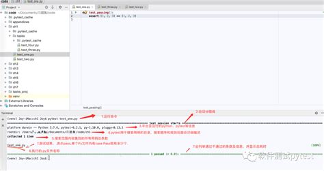 Pytest运行及其控制台输出信息pytest输出信息 Csdn博客