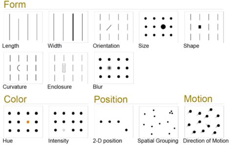 Visual Perception And Pre Attentive Attributes Slide Deck Flashcards