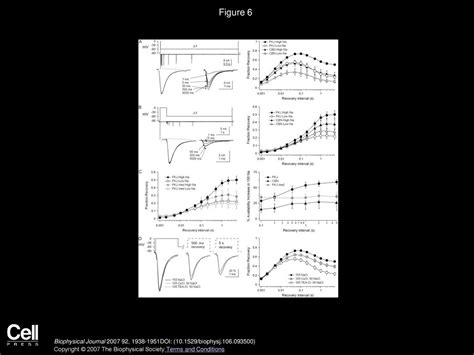 Teresa K Aman Indira M Raman Biophysical Journal Ppt Download