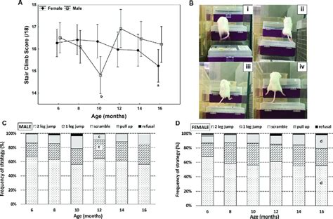 A Stair Climb Scores Out Of As A Function Of Sex And Age Download Scientific Diagram