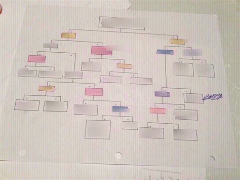 Enterobacteriaceae Flow Chart Diagram Quizlet