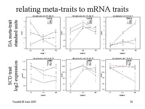 Bayesian Analysis Of Microarray Traits Arabidopsis Microarray Workshop