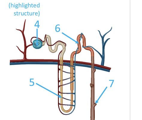 Solved Structure Is The Structure Is The Structure Chegg Com