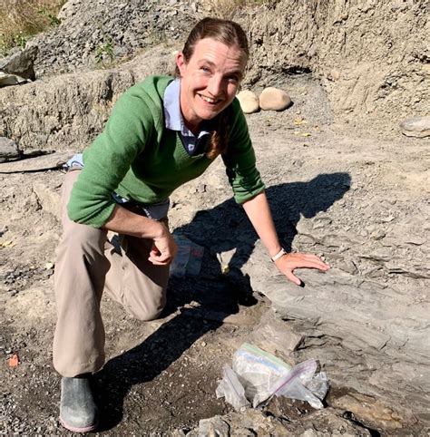 Peace Country Gems 6 Surprises Unearthed In Grande Prairie Cbc News