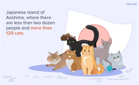 Cat Statistics 2026 Newest Available Data Infographic