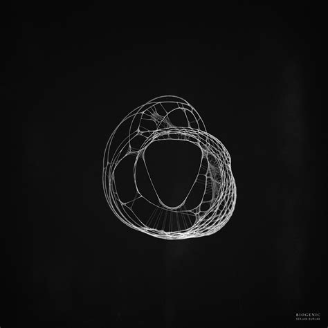 Geometry Of Evolution On Behance