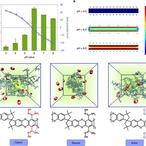 Bioinspired Hierarchical Porous Membrane For Efficient Uranium Extraction From Seawater